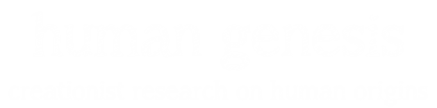 Fossil Focus: Nariokotome – Human Genesis