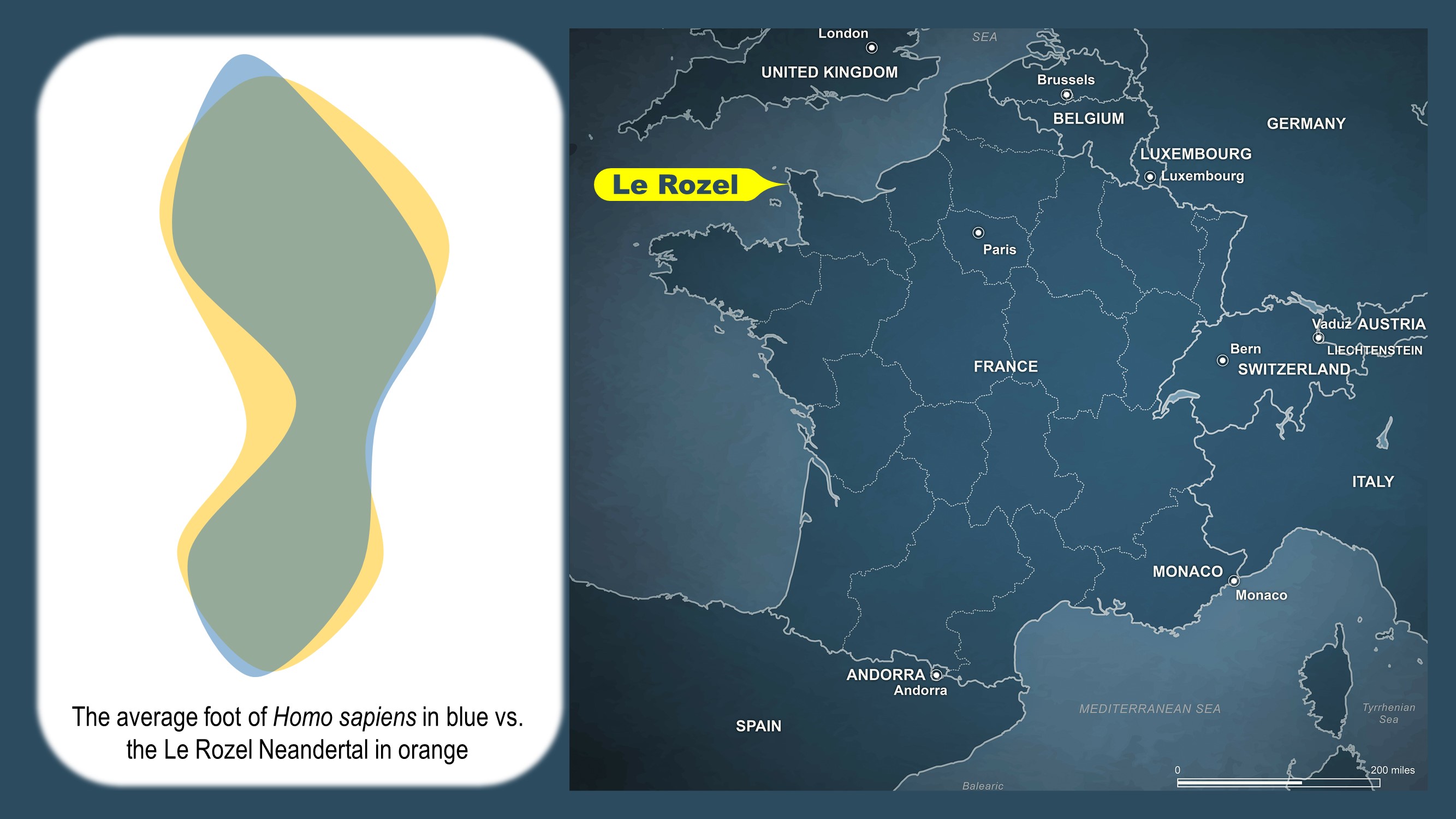 Human Genesis – Page 2 – Creationist Research on Human Origins